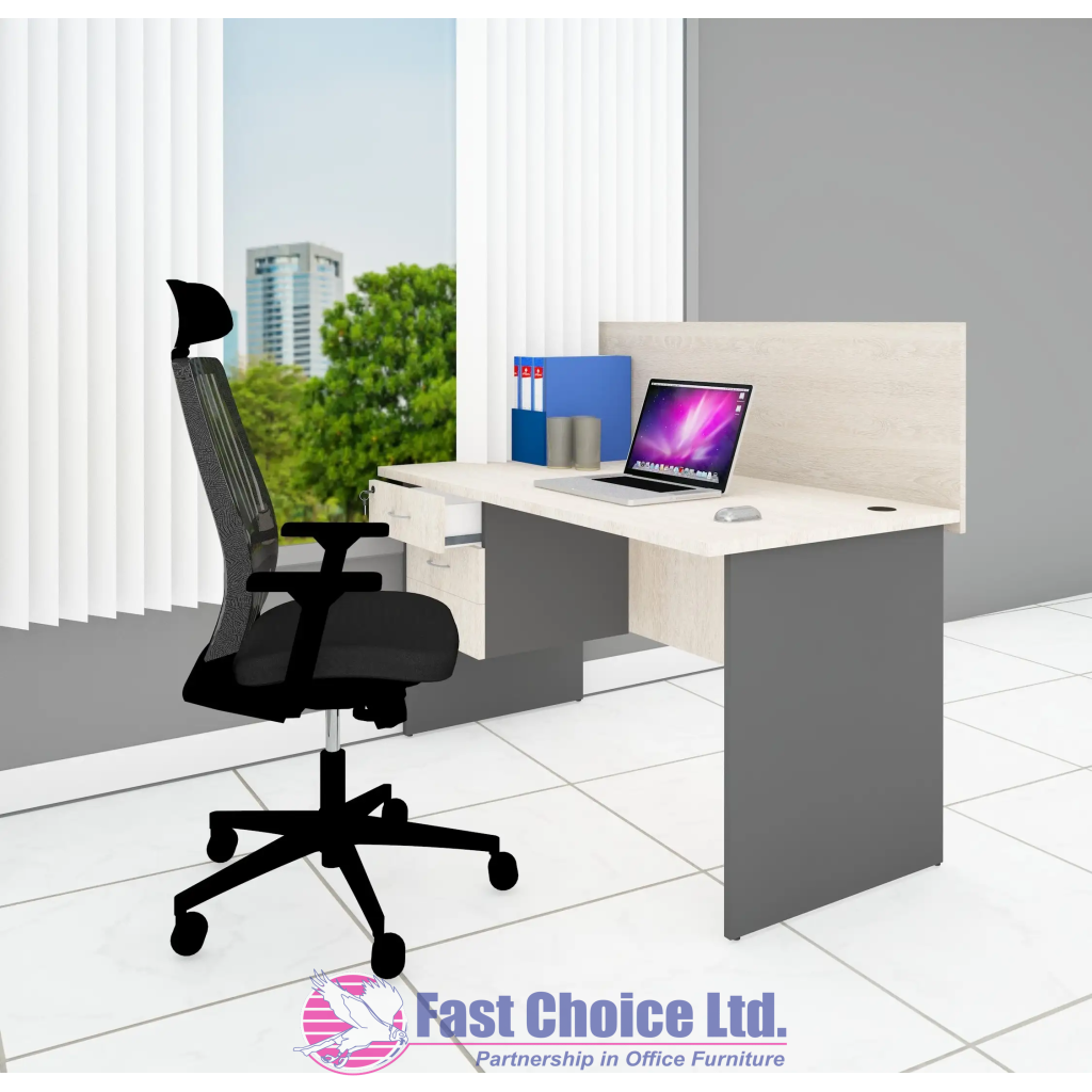 SINGLE WORK STATION WITH PANEL LEGS | Fast Choice Limited
